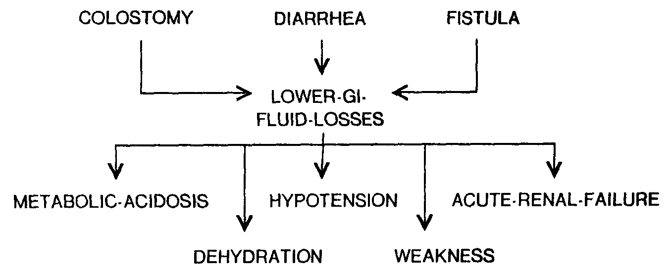 Modeling Knowledge of the Patient in Acid-Base and Electrolyte Disorders